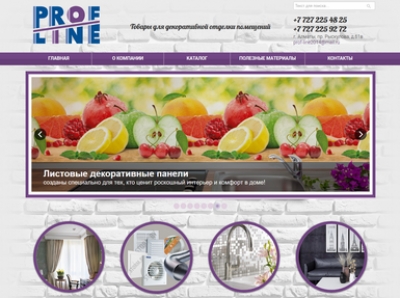 Web компания - разработка сайтов любой сложности - ТОО «PROF-LINE»